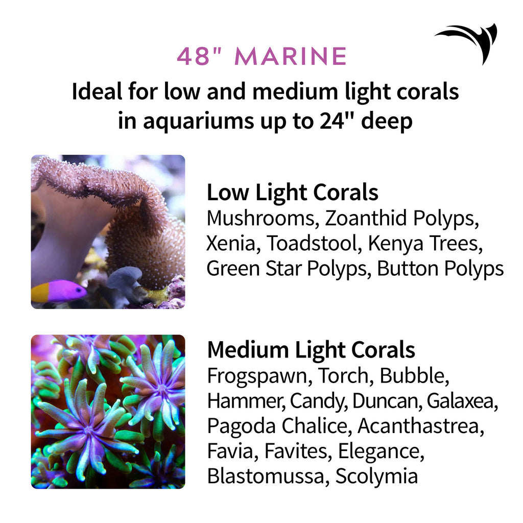 Aquatic Life EDGE WiFi LED Marine Aquarium Light Fixture, 48-Inch (DIS ...